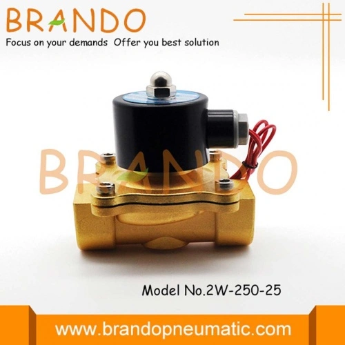 2W Brass Series Solenoid Valve 2W250-25 China Manufacturers Suppliers Factory Exporter